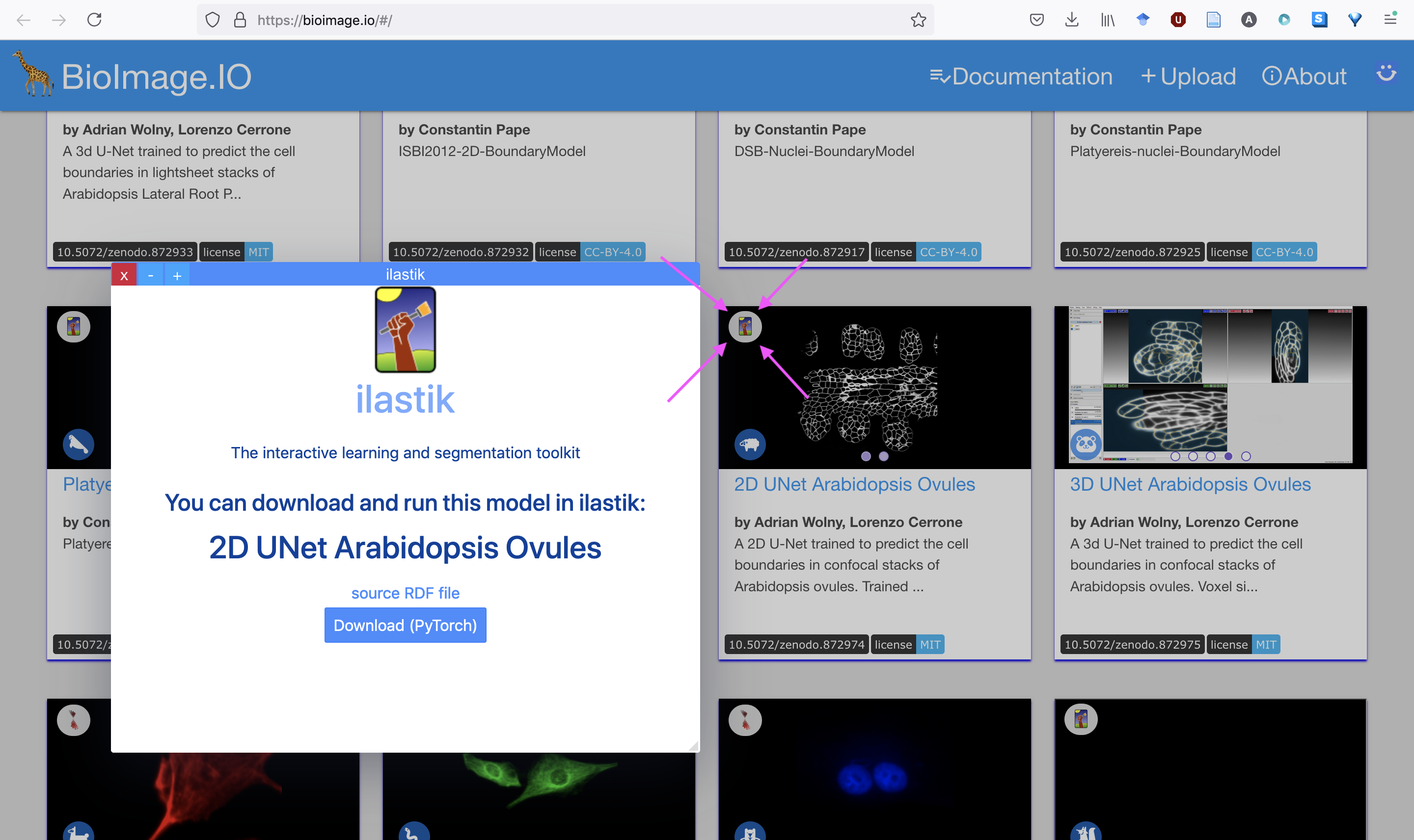 ilastik - Neural Network Classification
